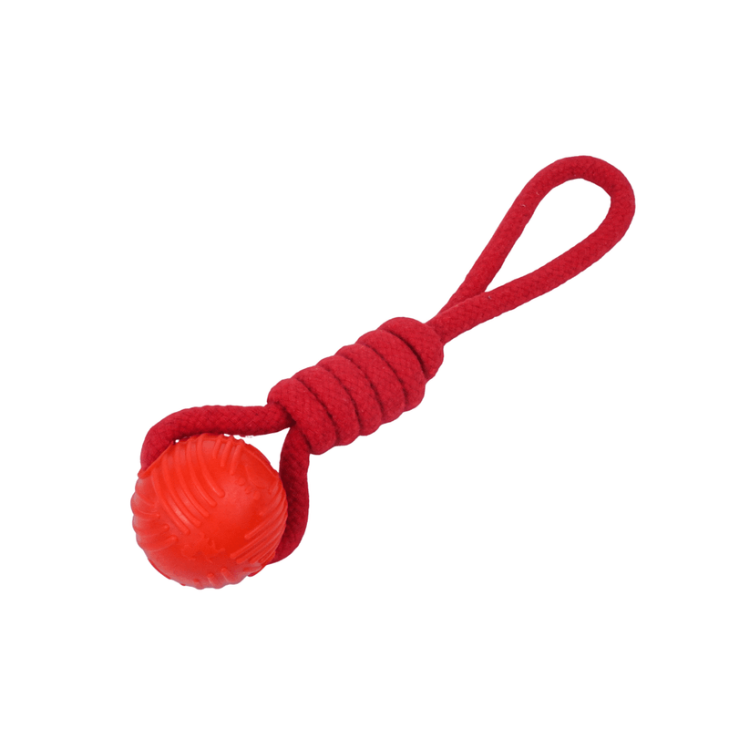 Juguete Spike Soga con Pelota - Petshop y Tienda Online de Mascotas ...